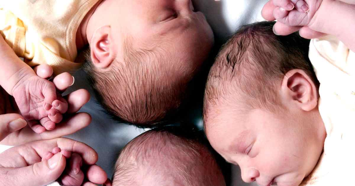 Winston, Line och många fler: Här är nya namnen i namnsdagskalendern ...