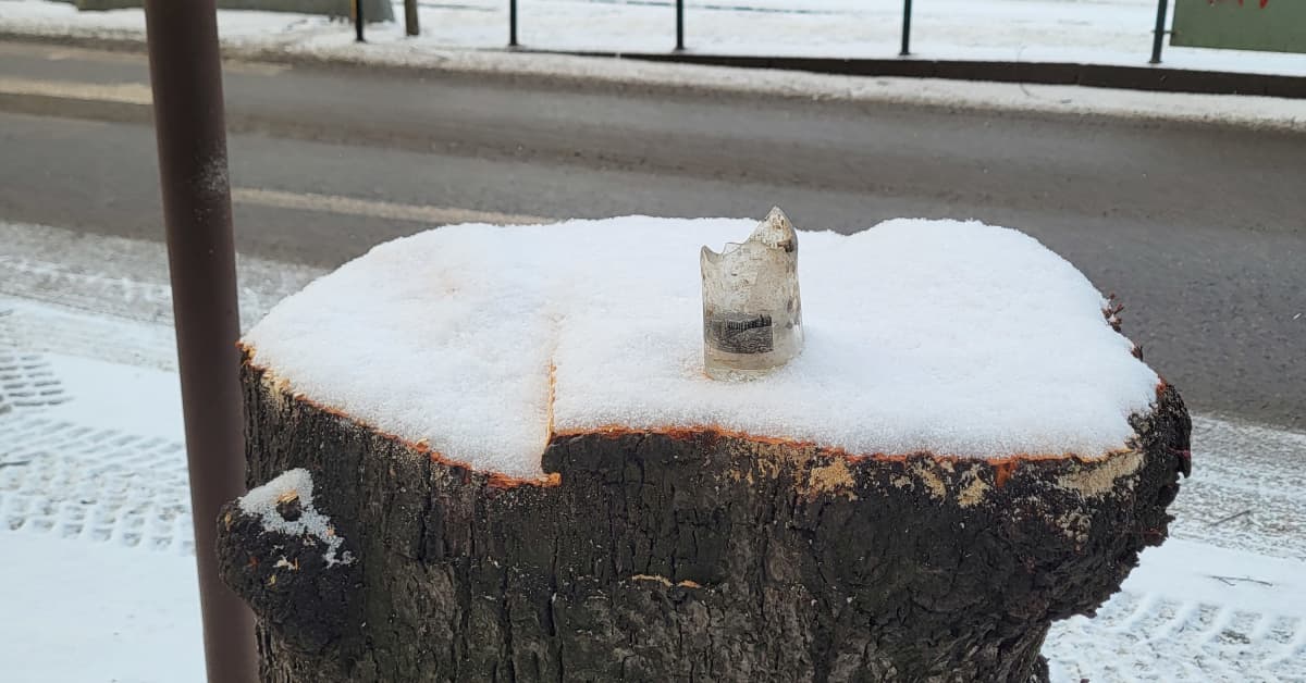 Kaupunki jatkaa puiden poistamista Mannerheimintieltä – joku toi ...