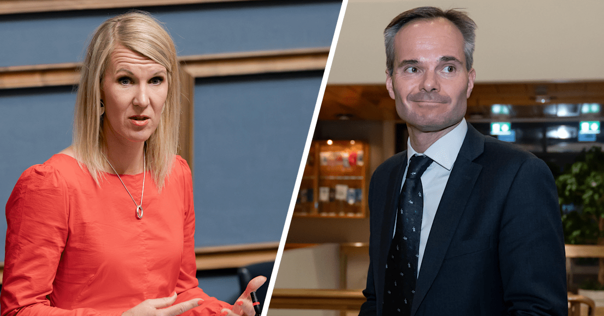 Sari Multala kan bli miljö- och klimatminister – flera kandidater till ...