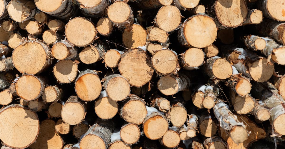 Metsänomistajat odottavat puun hinnan nousun jatkuvan, erityisesti ...