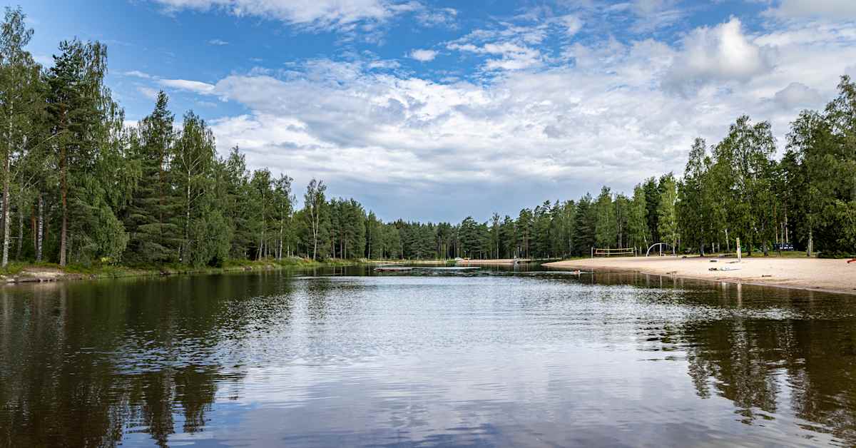 Kokonainen lampi tyhjennettiin Paimiossa vieras­lajin kitke­miseksi ...
