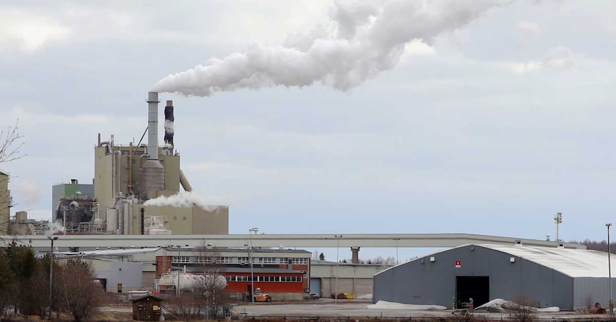 Stora Enso ordered to pay nearly €800K in damages to dismissed ...