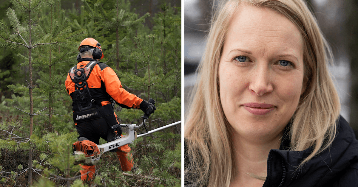 Nu krävs hårdare tag mot slavliknande kontrakt för utländsk arbetskraft ...