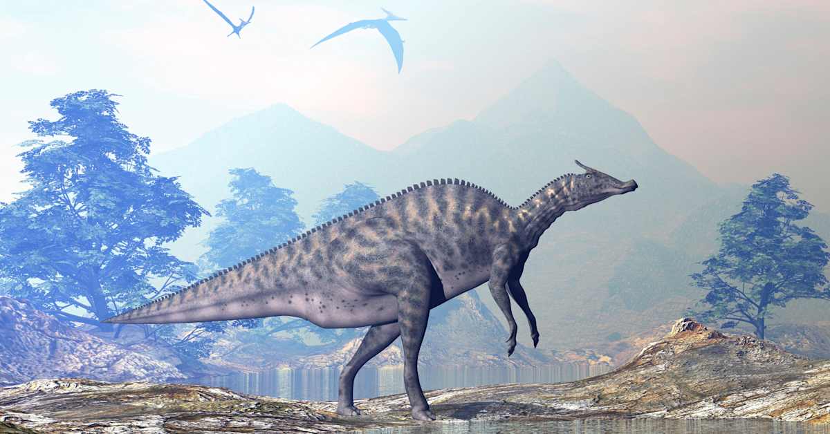 Forskning: Dinosaurierna var på kraftig nedgång redan före det stora ...