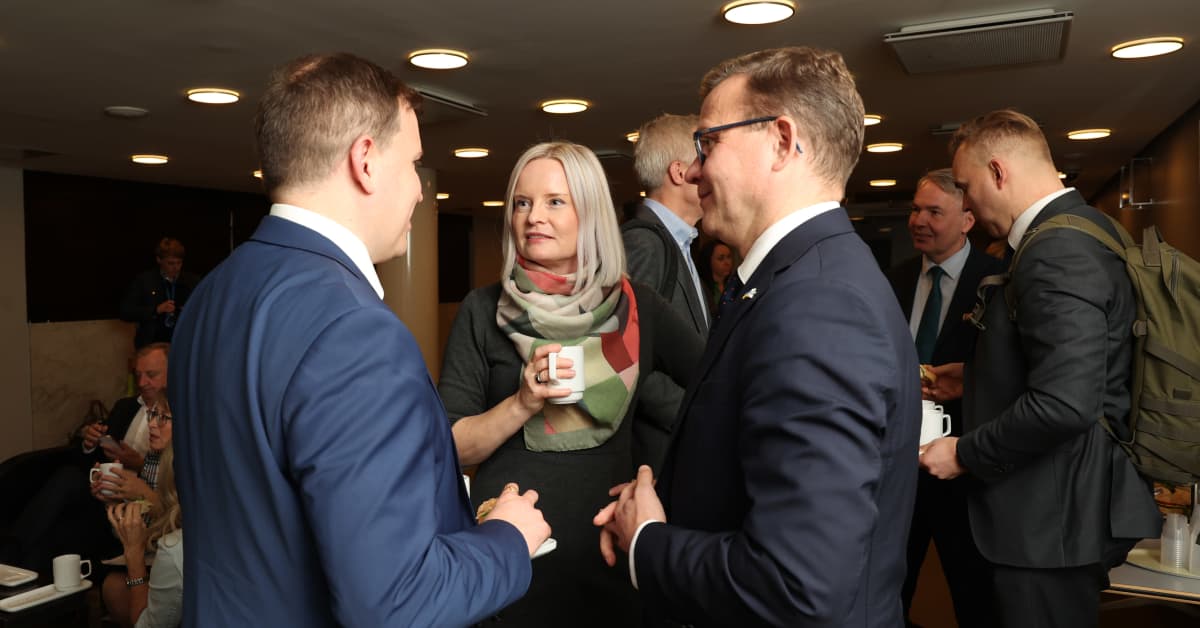 Finland's political party leaders express support for partial border ...