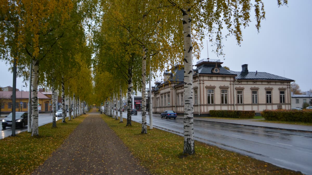 Iisalmi varaa osallistuvaan budjetointiin 100 000 euroa | Yle Uutiset