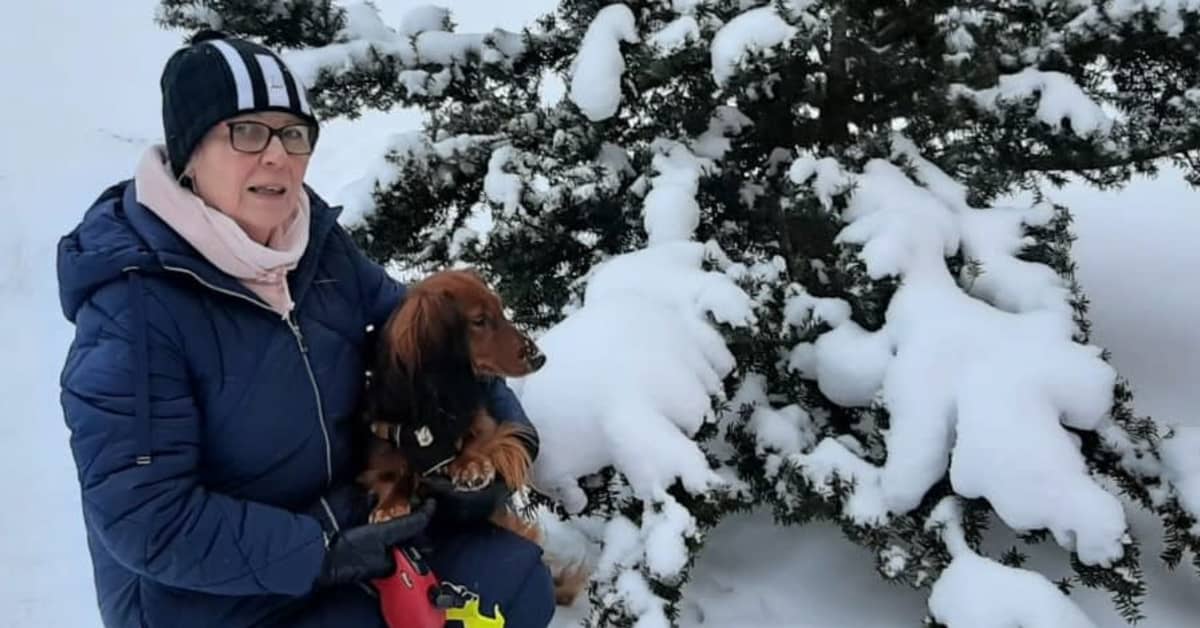 Hämeenlinnalainen Anne Koivisto ja mäyräkoira Tytti nimettiin vuoden ...