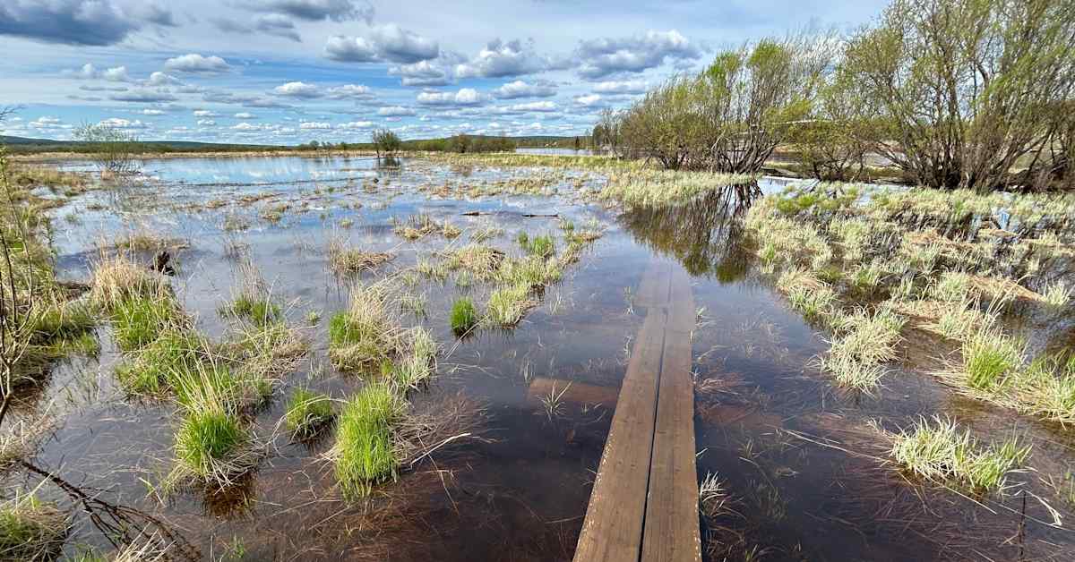 Tulvat voivat vielä pahentua eri puolilla Lappia – toinen tulvahuippu ...