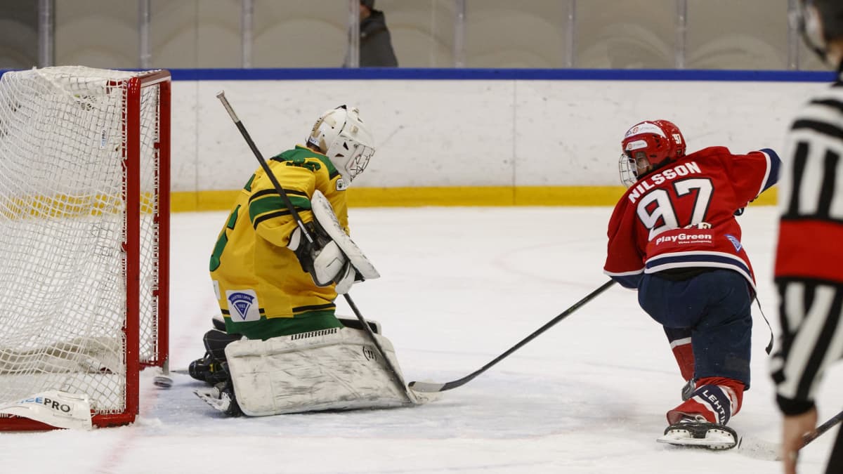 Mihin 37 maalia iskenyt tähtikiekkoilija katosi? Matilda Nilsson pelaa ...
