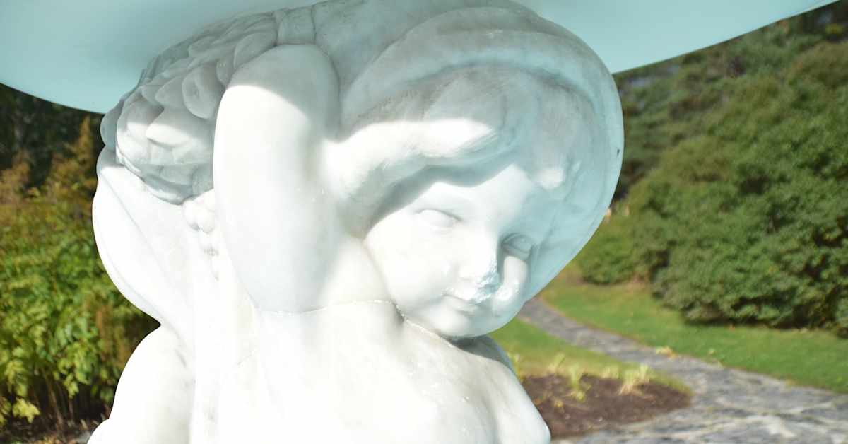 Nu får också Ekenäsborna Rulle och Arthur bada i vatten | Västnyland ...