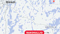 Kartalla on esitetty Mikkelin ja Anttolan alue, jossa korostettuna näkyy Rakokallio.