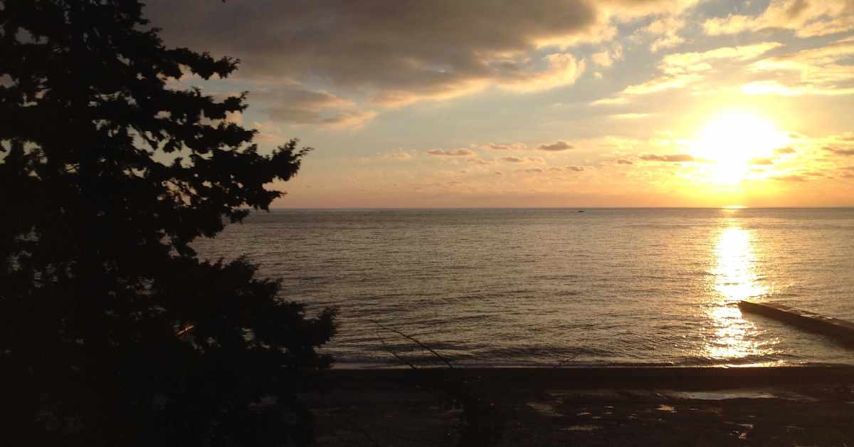 Sotji, or there and back again | Sport | Yle