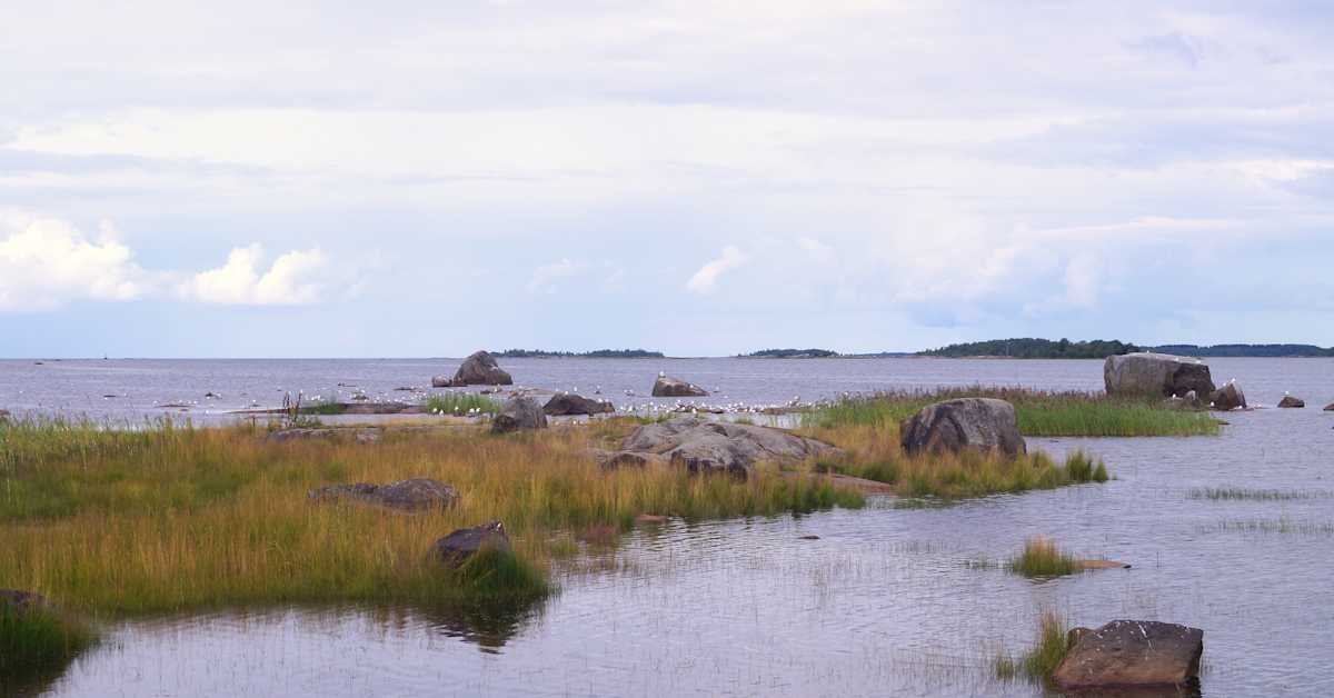 Fäbodanlahden ruoppaus siirtyy Pietarsaaressa | Keski-Pohjanmaa | Yle