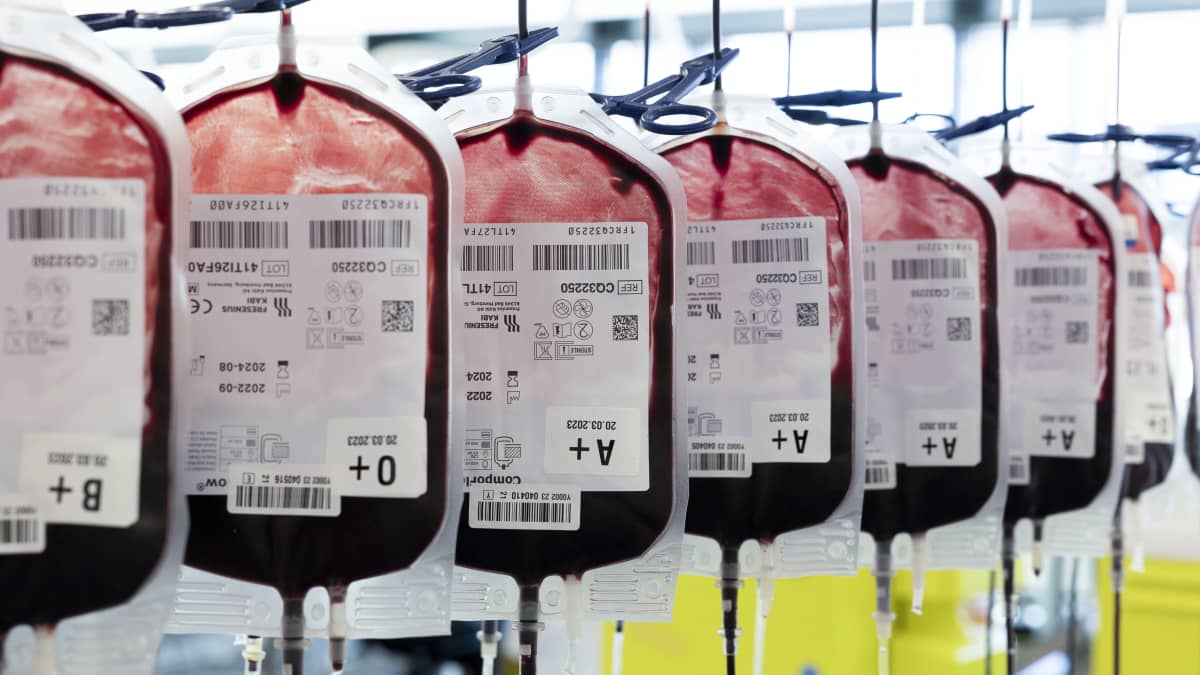 Miehet, nyt on aika luovuttaa – enemmistö verenluovuttajista on naisia ...