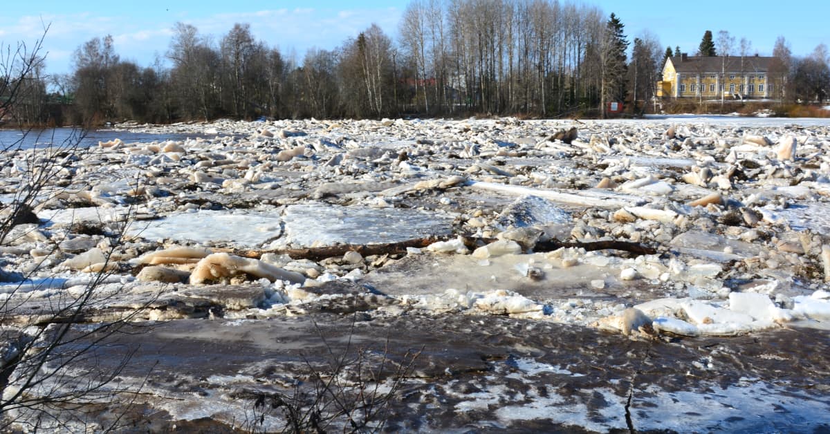Kyrönjoella Pohjanmaalla jääpato on liikkeellä, tulvat jäivät tänä ...