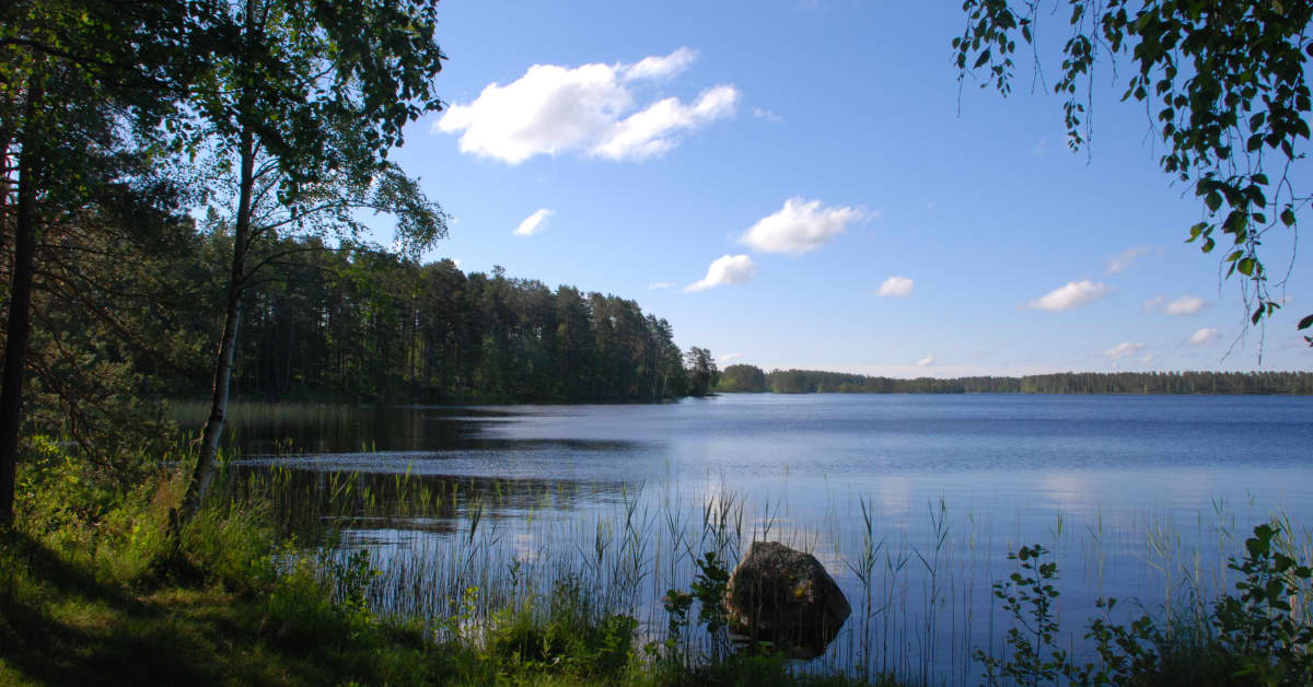 Person Hamnade I Sjön I Nedervetil österbotten Svenska Yle