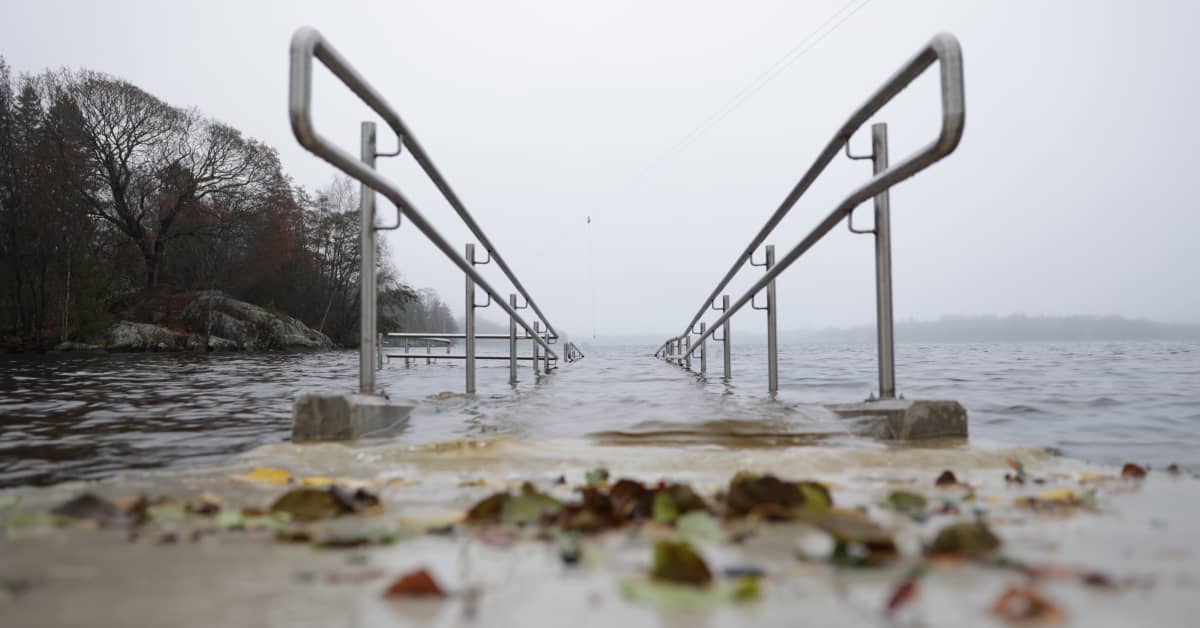 Tampereen ensimmäinen esteetön uimaranta valmistuu kesäksi | Pirkanmaa ...