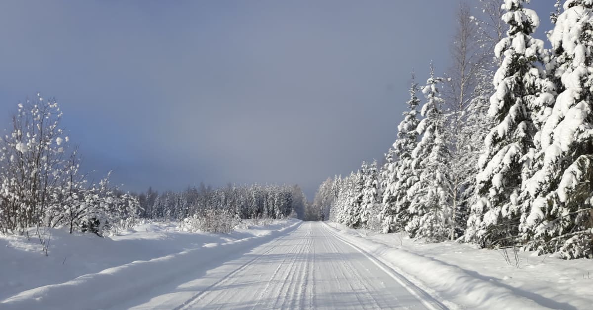 Nurmes on nyt maakunnan lumisin paikka | Yle