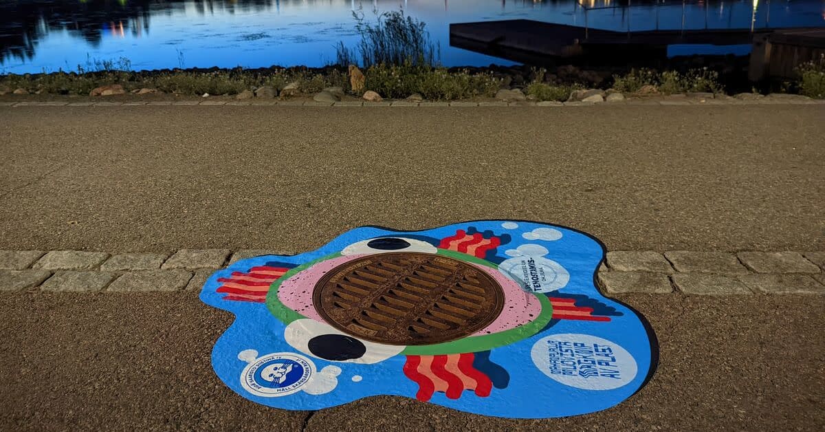 Viemäriin heitetty roska matkaa puroon ja sieltä mereen – kaupungit ...
