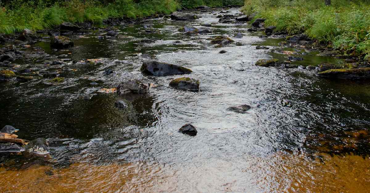 HS: Inget misstag att skogsmaskinsföraren i Hukkajoki körde över den ...