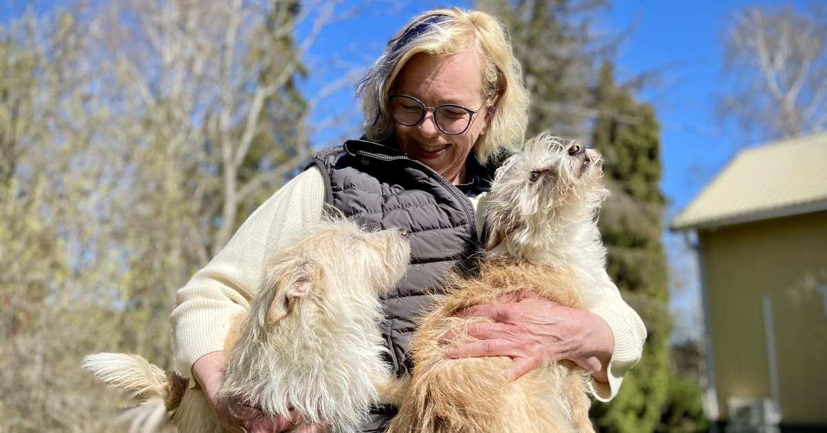 Finland launches controversial dog registration system | Yle News | Yle