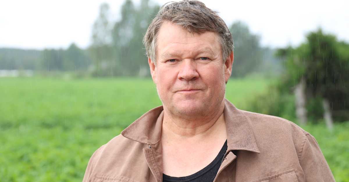 Efter tuffa år väntar potatisodlare sig en fin skörd i år – bladmögel och rikliga regnmängder ...