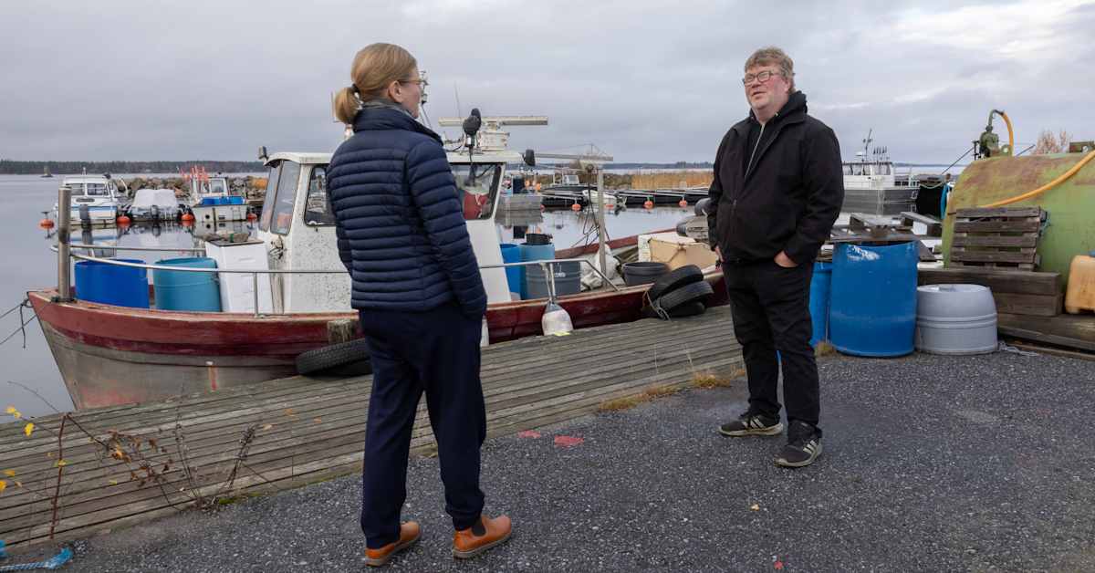 Strömming en fisk på uppsving – branschfolk ser kvoten som en bra ...