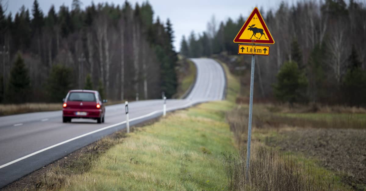 Ari-Pekka Elovaara varoitti vastaantulijaa hirvestä, vastaukseksi ...