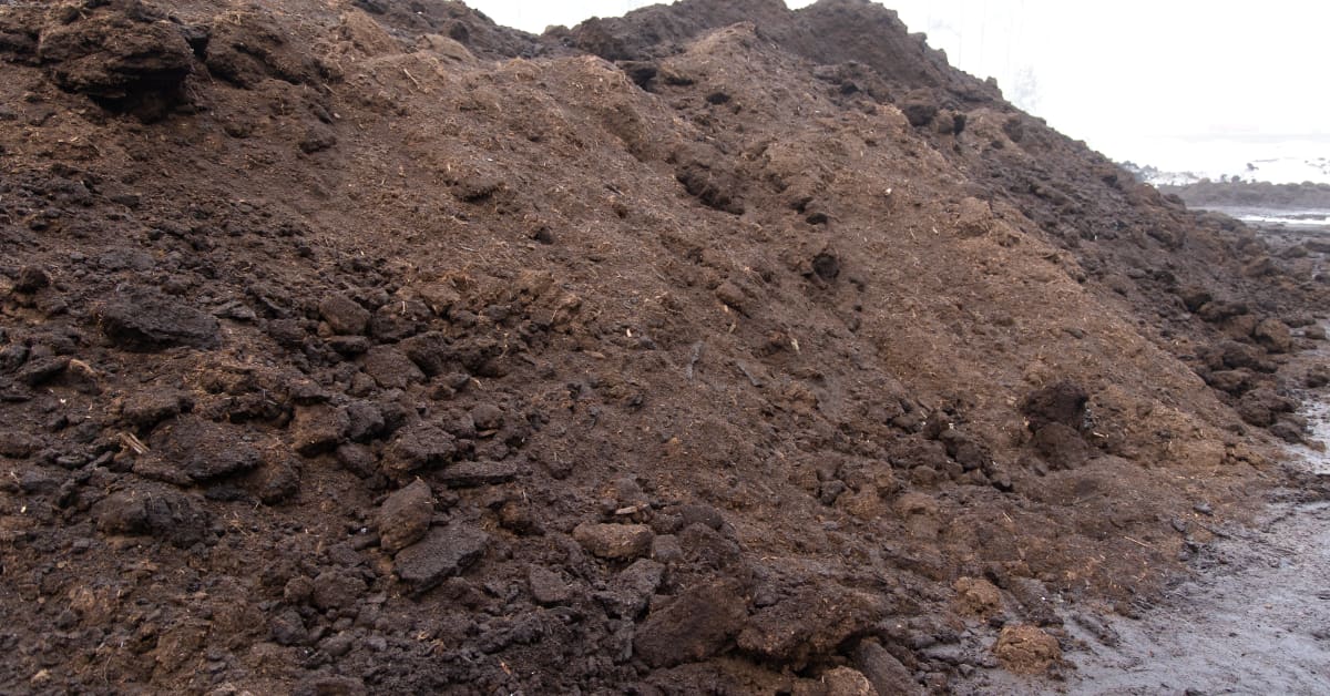 Ministry unveils plan to phase out peat burning in Finland | Yle