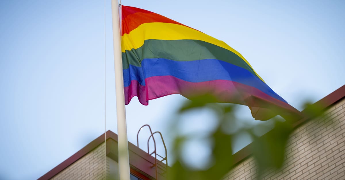 Jatkossa Pride-lippu liehuu Jämsässä | Keski-Suomi | Yle