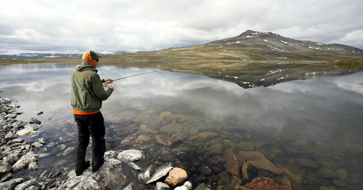 Peltsin Lappi: TOP 3 maisemat | Luonto | Yle