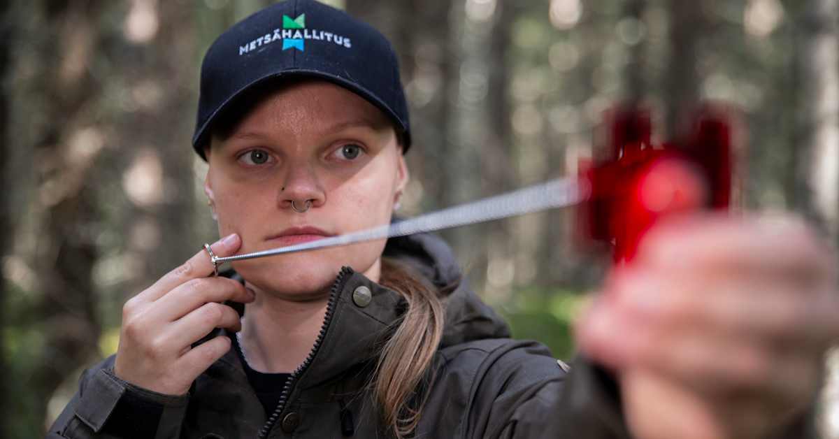 Jane Rekola tekee työtään metsäriidan keskellä: näin vanhojen metsien ...
