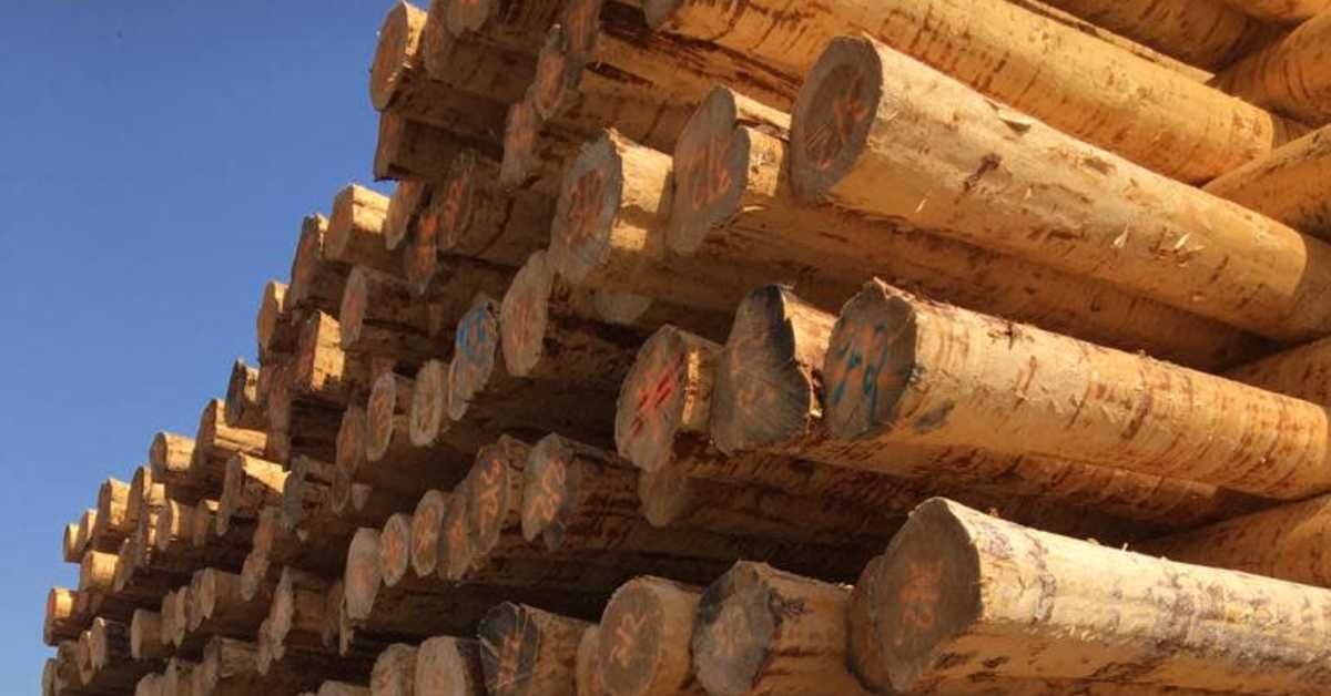 Versowood osti Kouvolan Tuohikotissa sijaitsevan puhelin- ja ...
