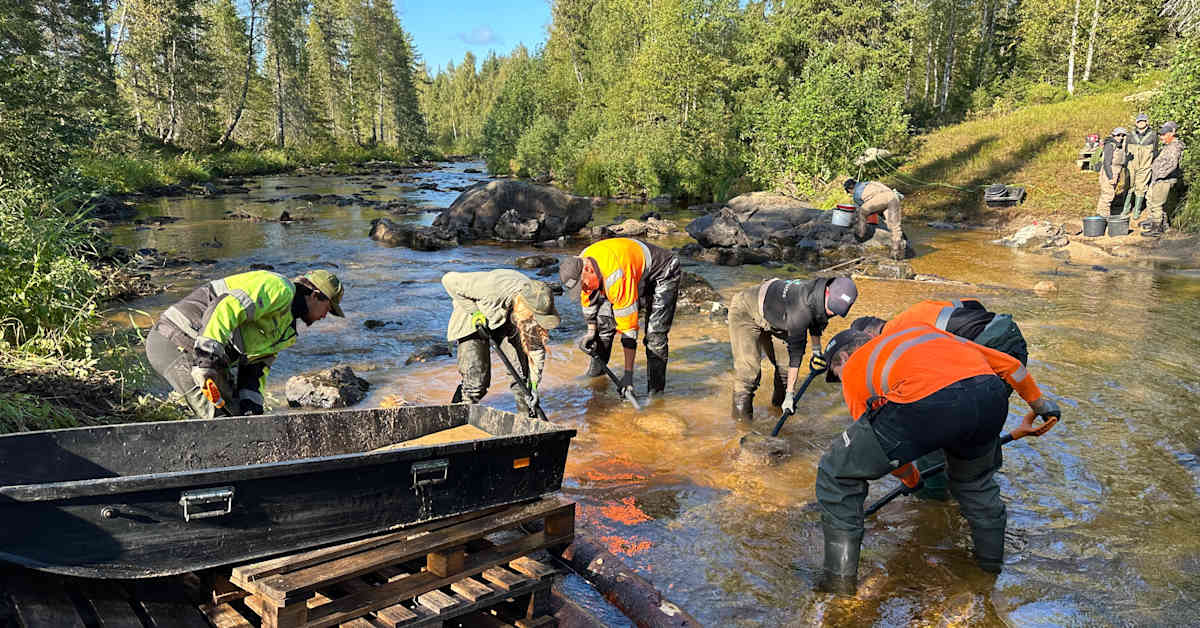Monelle metsätyöläiselle pakollinen luonnonhoitokortti menee uusiksi ...