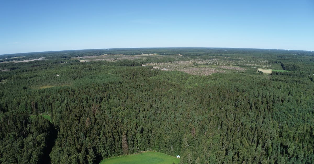Korsholm ställer krav på Shanshan: ”Helt klart att utsläppen måste ...