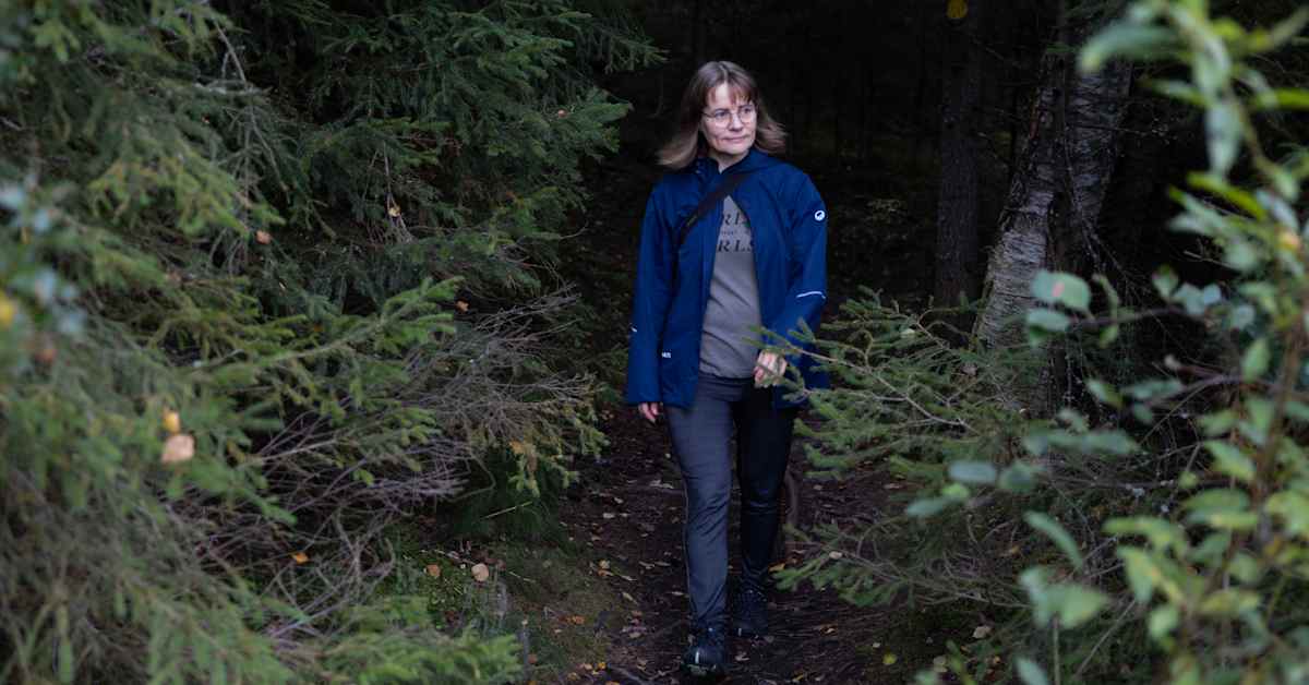 Tampere on lisäämässä suositun ulkoilumetsän suojelua – ei riitä, luonnon­suojelijat sanovat ...