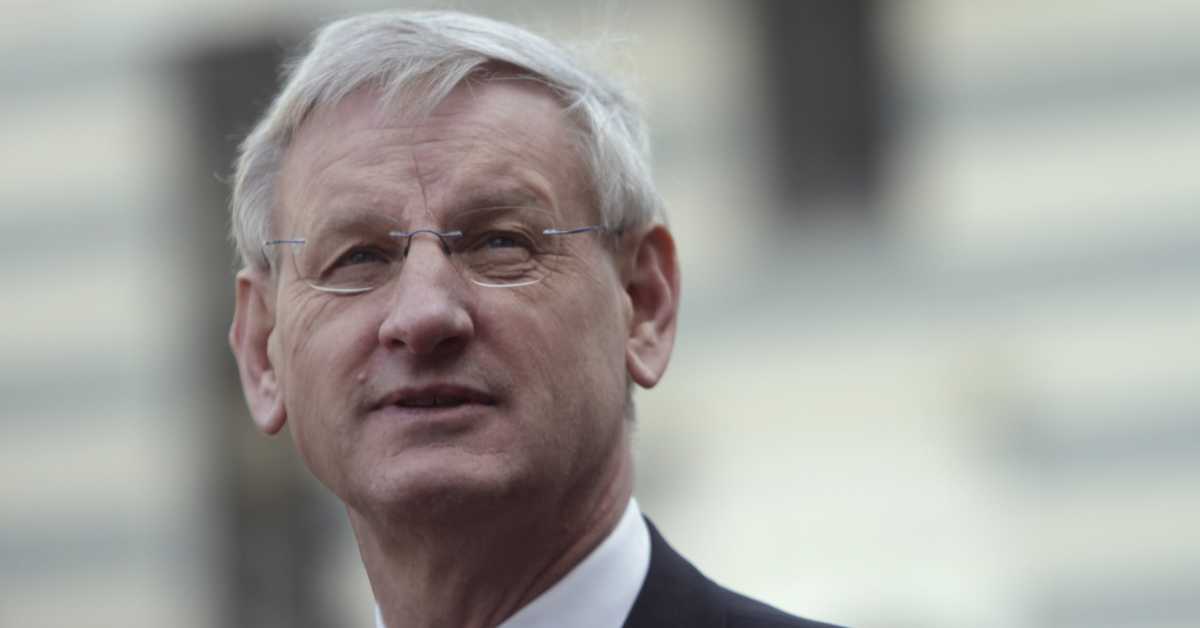Bildt vill inte bli partiledare - "tackade ja för 31 år sedan ...