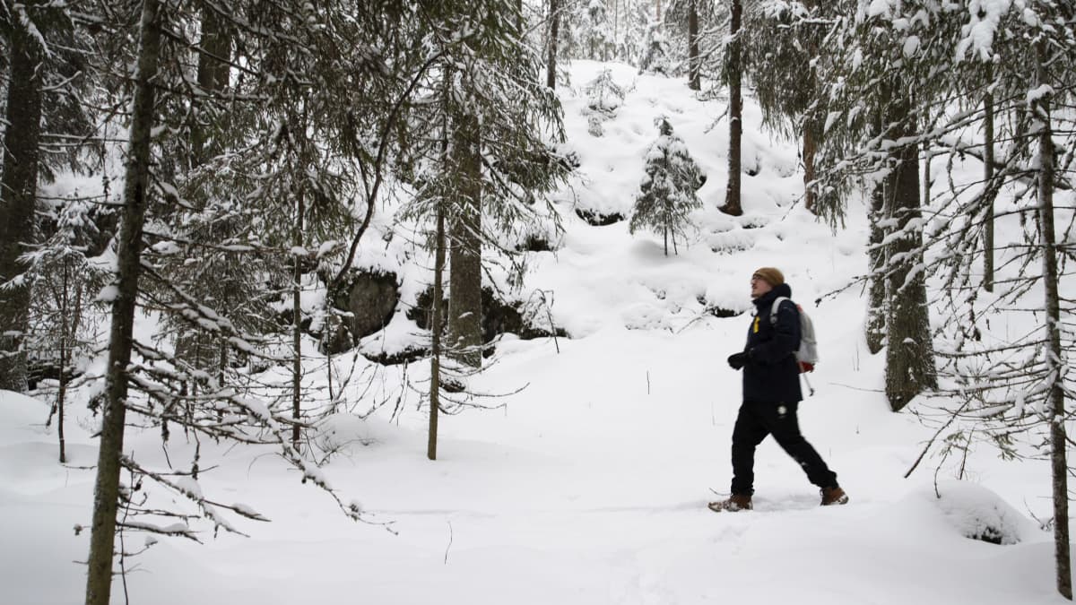 Aleksi Alataloa kiusattiin metsäretkellä ja pelko jäi – sitten yksi ...