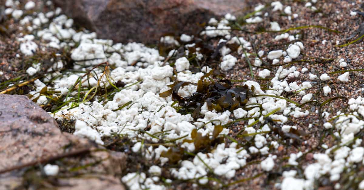 Nesteen johdossa heräsi eilen epäilys – Hangon mysteerirakeet näyttävät ...