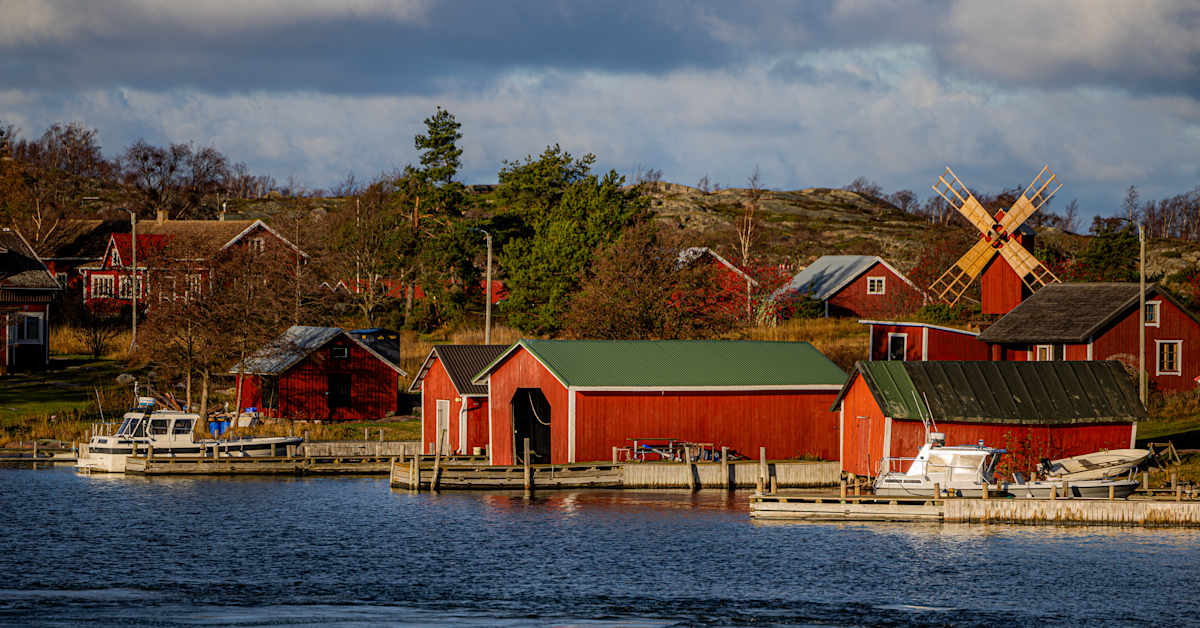 Stjärnklara himlar och skogens doft ska locka internationella turister ...