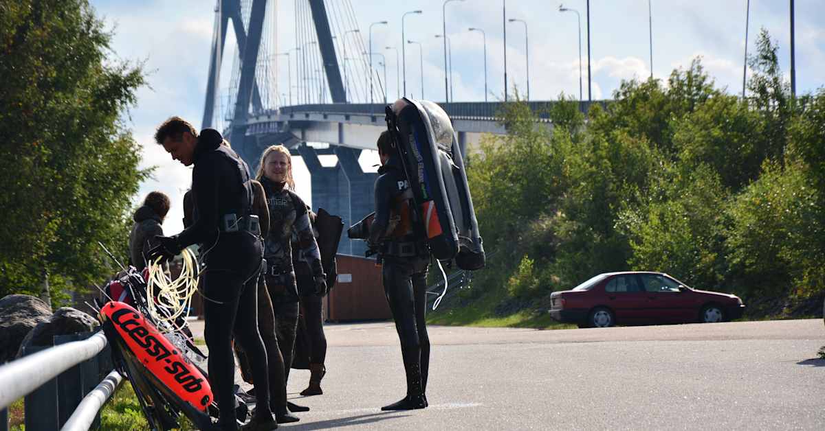 Harpunfiskarna trivs under Replotbron | Österbotten | Svenska Yle