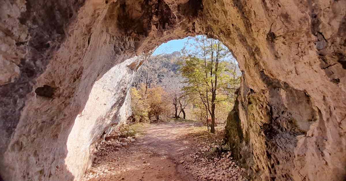 Sov som en grottmänniska – konkreta tips för bättre sömn | Samhälle | Svenska Yle