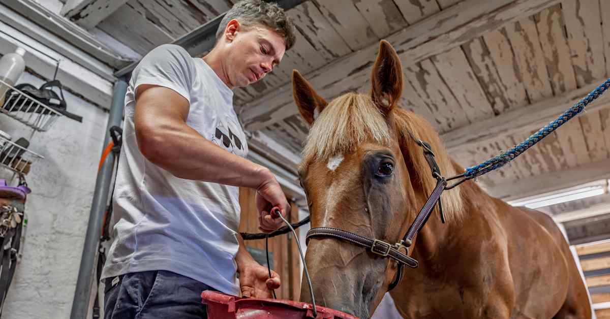 Huippuravurin varsa täytti Santtu Raitalan villeimmätkin unelmat ...