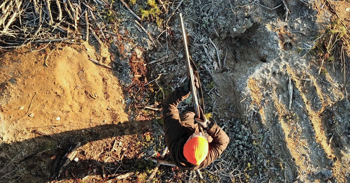 State agency proposes hunting bans in busiest hiking areas | Yle