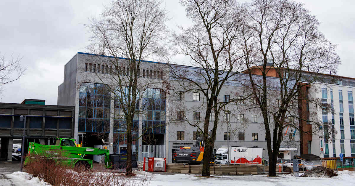 Nämä vaahterat ja lehmukset on todettu huonokuntoisiksi – Jyväskylän ...