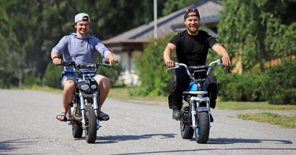Biisonimafia kokeilee siipiään kuninkuuslajissa – sketsiryhmä hyppää ...
