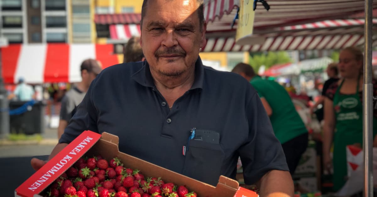 Mansikkaa saadaan syyskuulle asti, mutta pakastemarjat myydään nyt ...