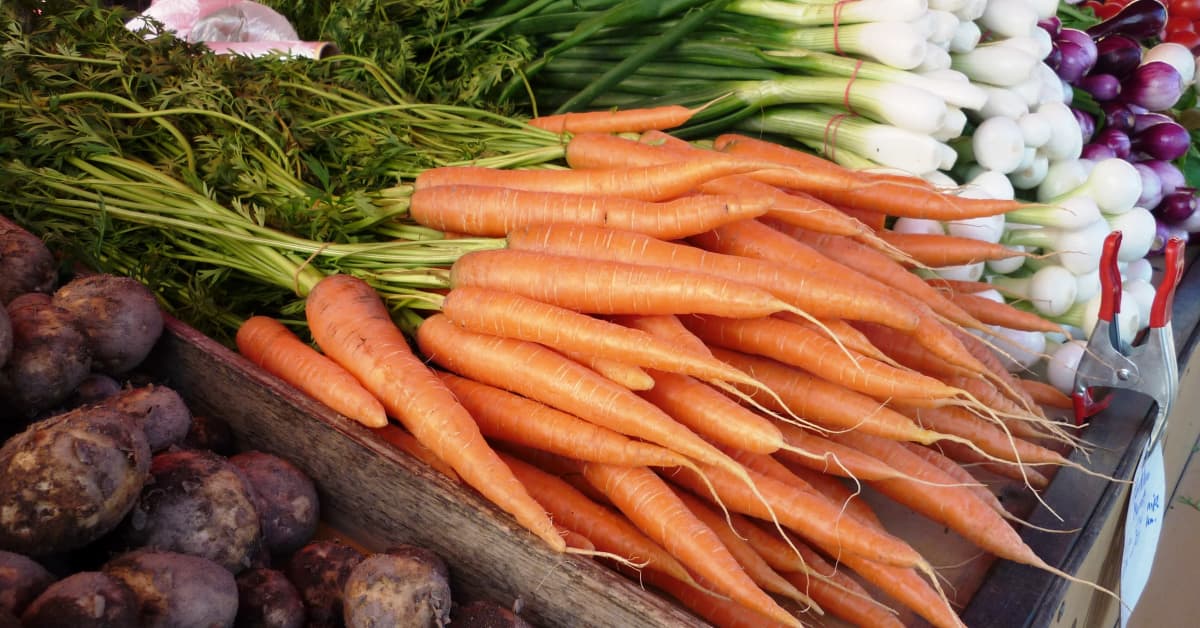 Fastan är här – dags att tänka på miljön | Östnyland | Svenska Yle