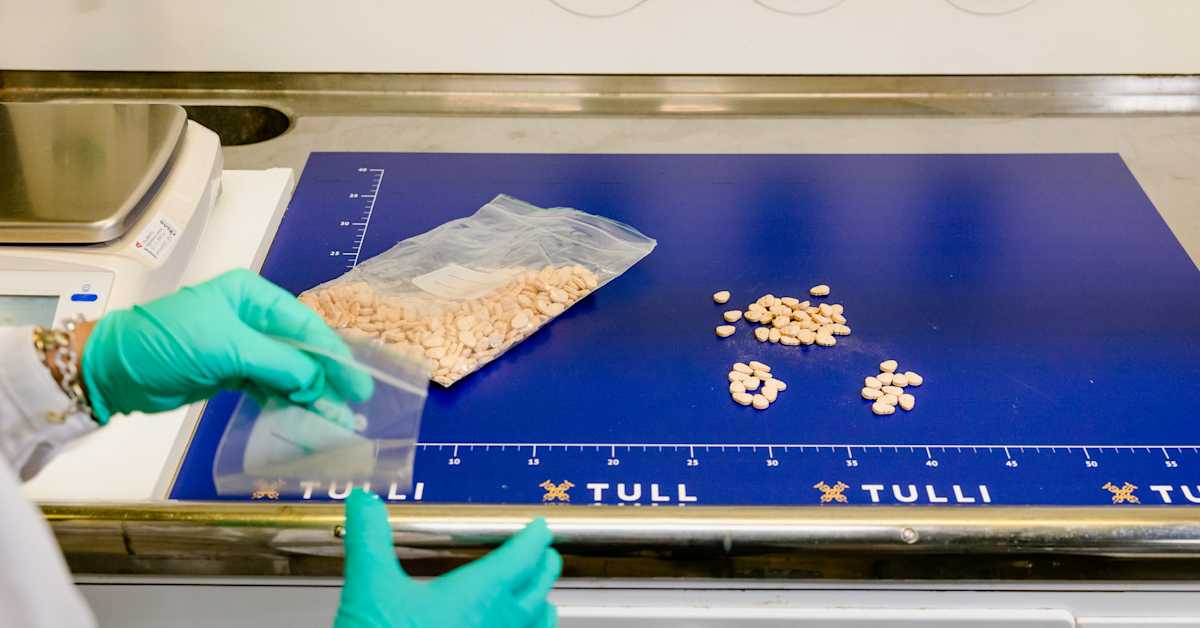 Tulli: Huumeiden takavarikkomäärät kasvoivat rajusti – myös törkeät ...