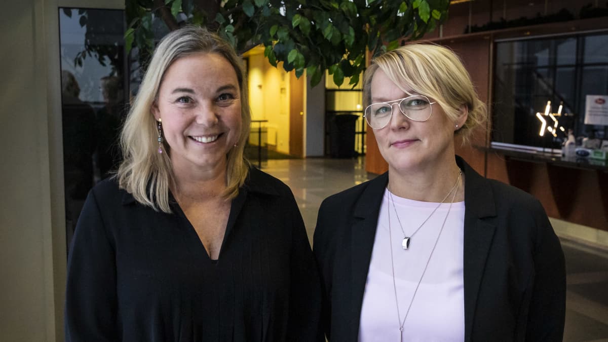 Tällainen on naudanfilee, joka ei ole lihaa nähnytkään – uusi ...